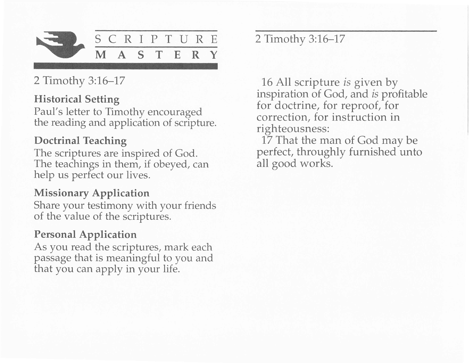 We Believe: Family Scripture Study - Women in The Church of Jesus Christ